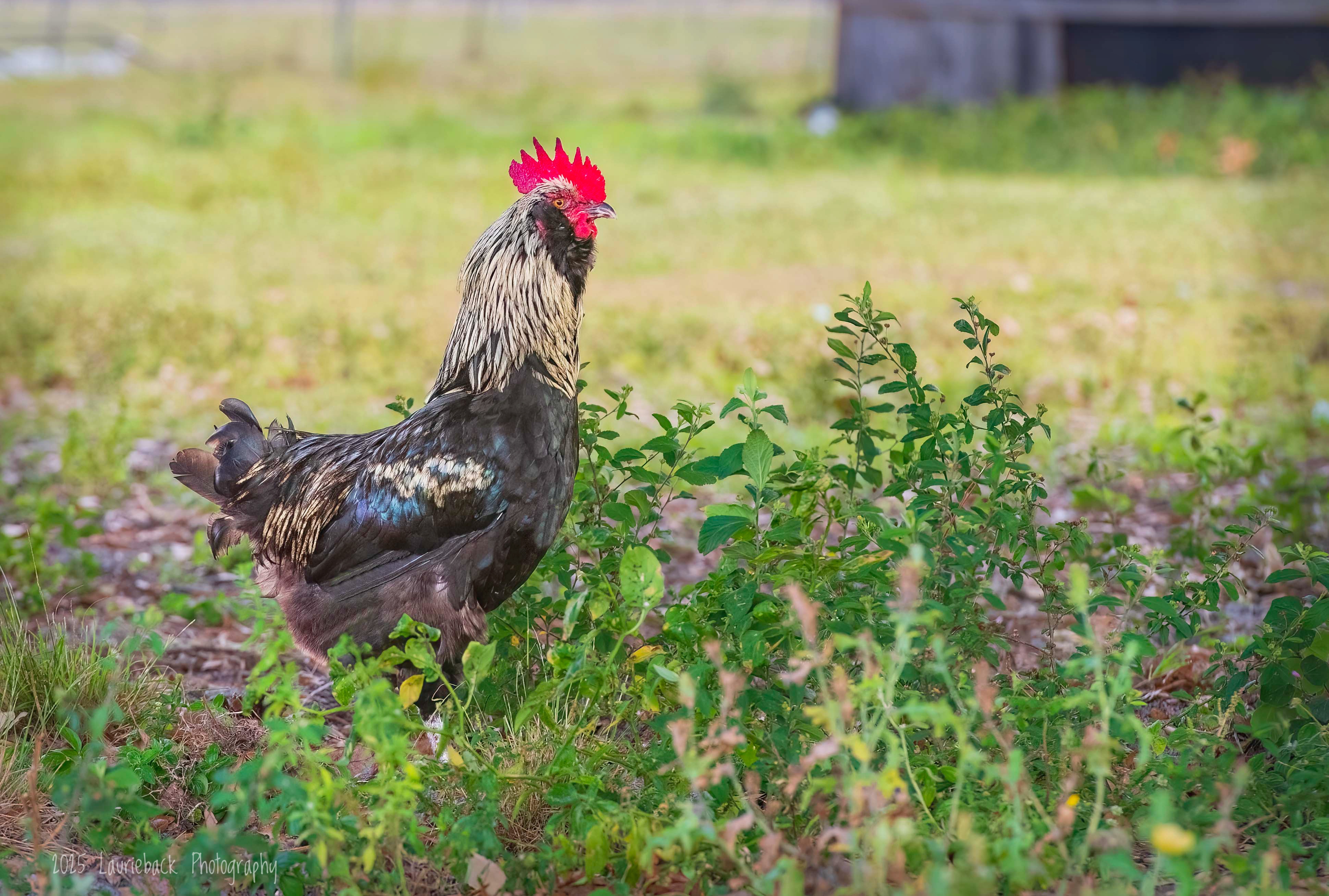 Good Sam Overnight Stays | Overnight RV Parking at Exclusive Locations