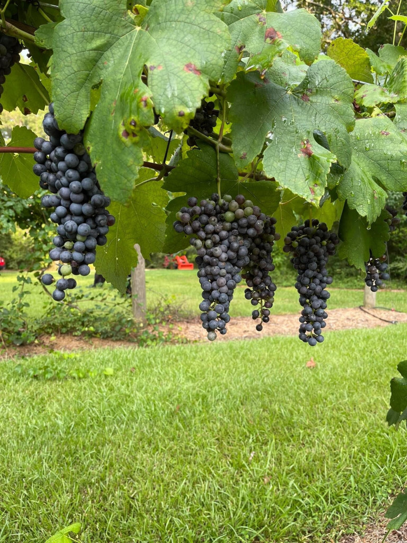 Good Sam Overnight Stays | Overnight RV Parking at Exclusive Locations